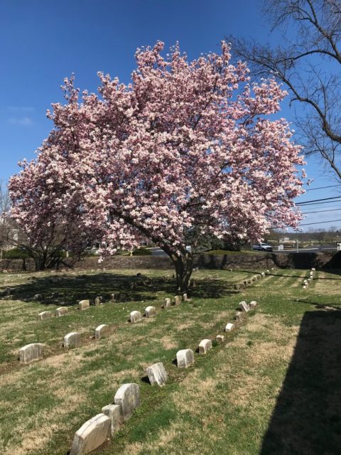 National Poetry Month 2026, Week Five: My poem, “The Quaker Graveyard ...